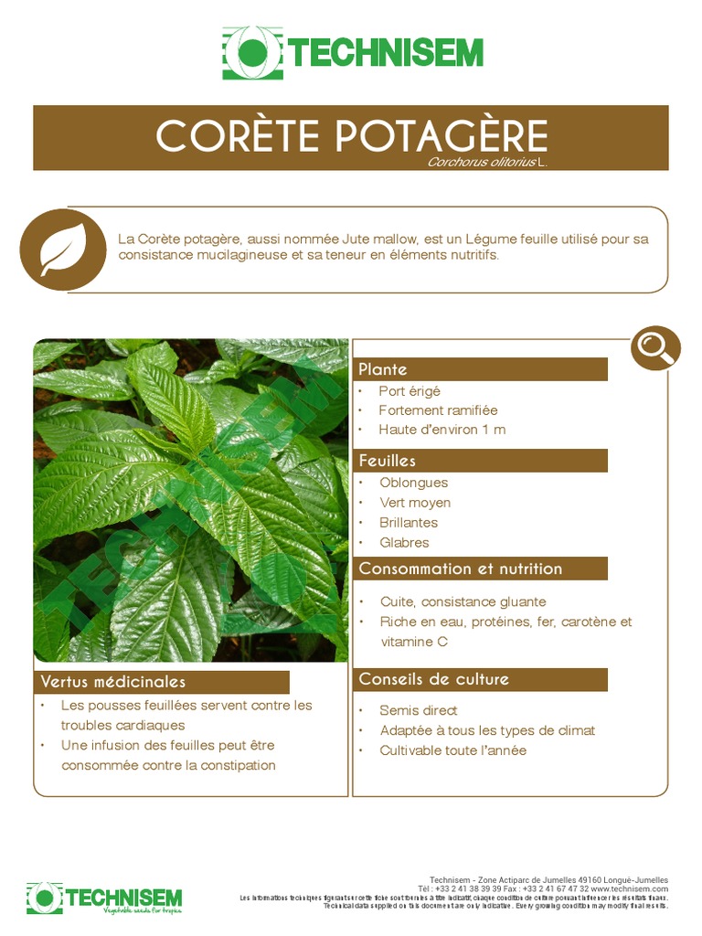 15 Corete Potagere CR FR | PDF | Agriculture | Cultures
