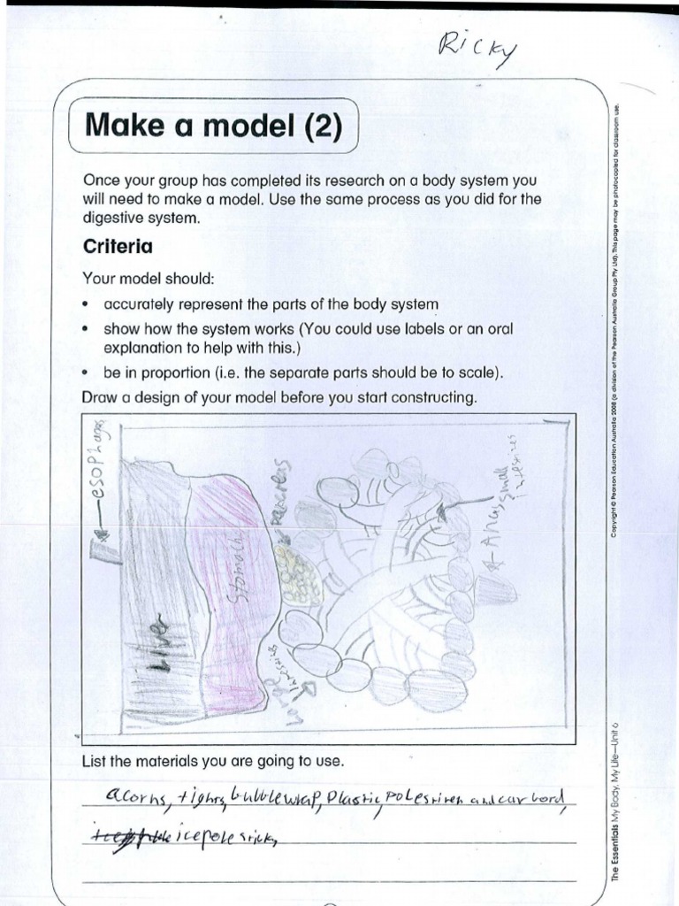 Body System Model Project Guide | PDF