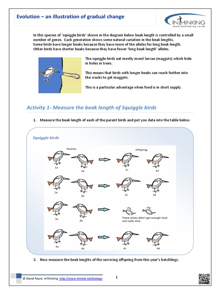 Evolution - An Illustration of Gradual Change: Activity 1-Measure The ...