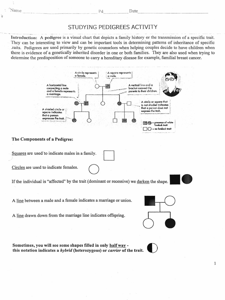 Pedigree Practice | PDF