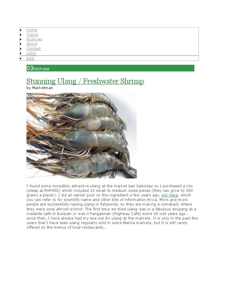 Stunning Ulang / Freshwater Shrimp: Home Topics Archives About Contact ...