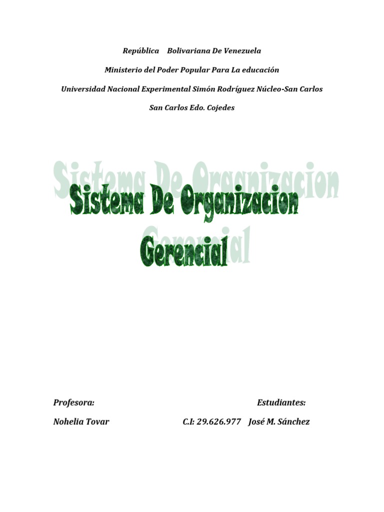 Sistema de Información Gerencial | PDF | Planificación de recursos ...