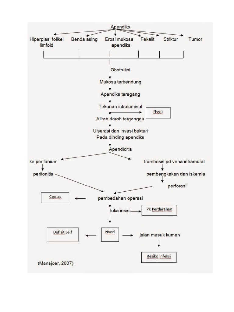 woc appendicitis | PDF