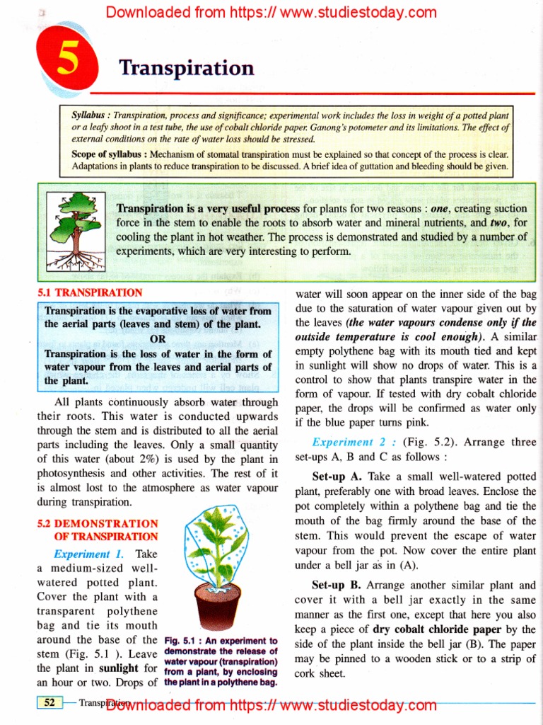ICSE Class 10 Biology Chapter 05 Transpiration | PDF