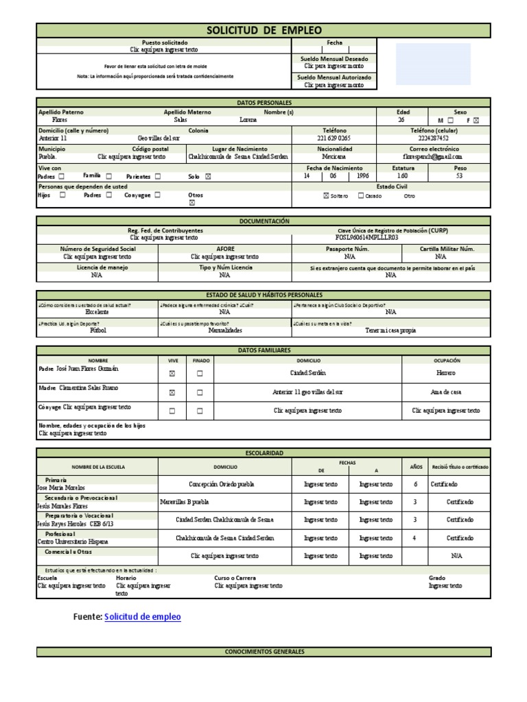 Formato-Solicitud-de-empleo-Word | PDF