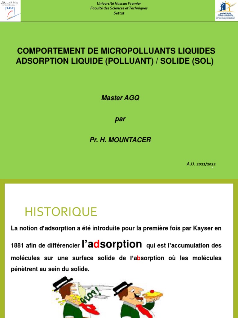 Cours Ads Sol AGQ | PDF | Adsorption | Chromatographie