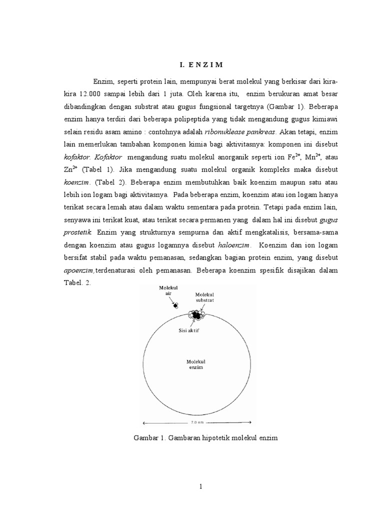 Enzim | PDF