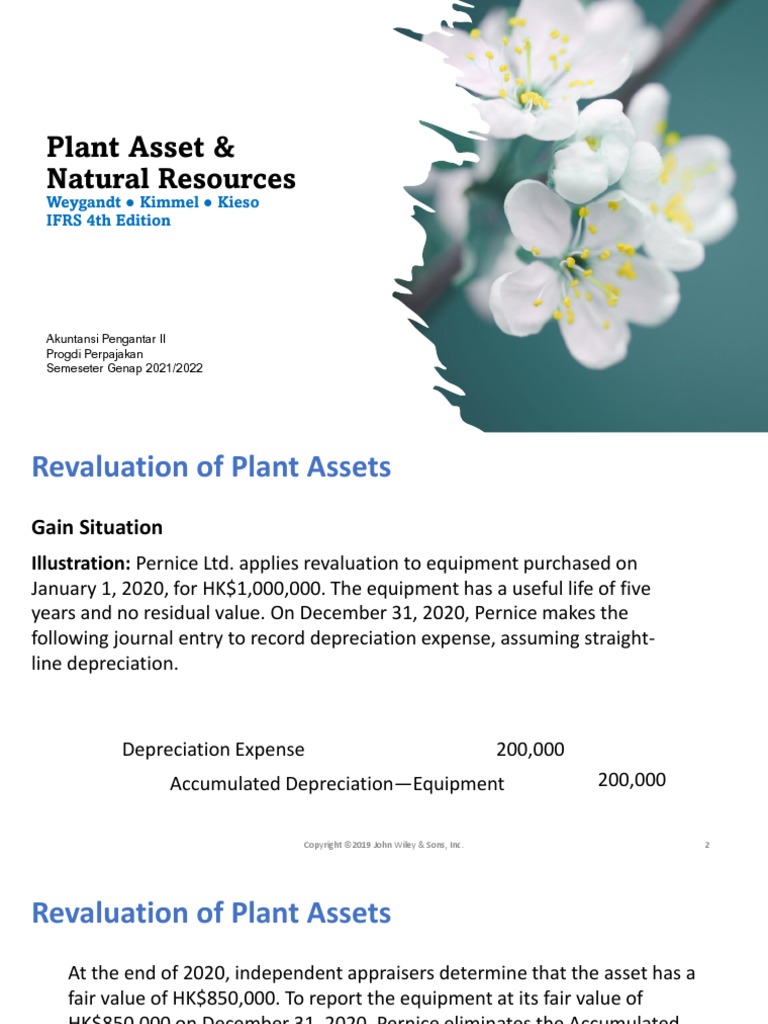 Plant Asset Natural Resources | PDF | Depreciation | Book Value