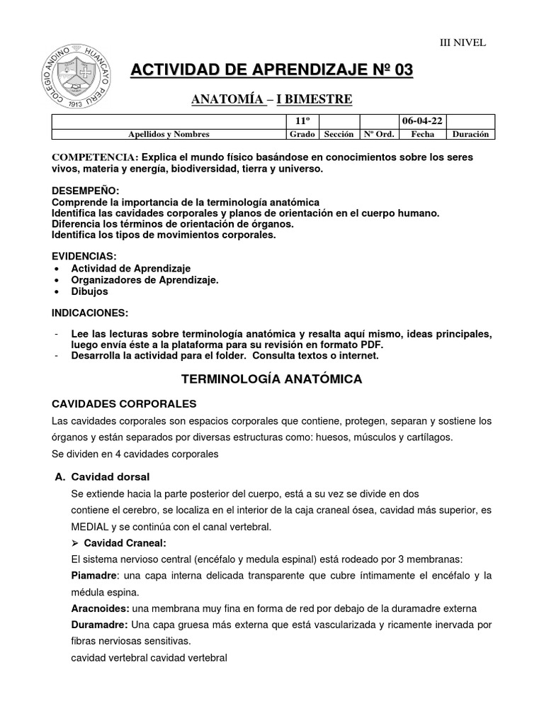 Actividad 03 - Terminologia Anatomica | PDF | Términos anatómicos de ...