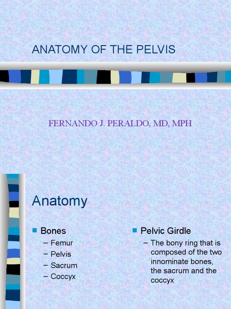 Anatomy of The Pelvis: Fernando J. Peraldo, MD, MPH | PDF | Pelvis | Hip