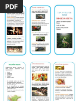 Triptico de Amazonas | PDF | Cocina | Comida y bebida