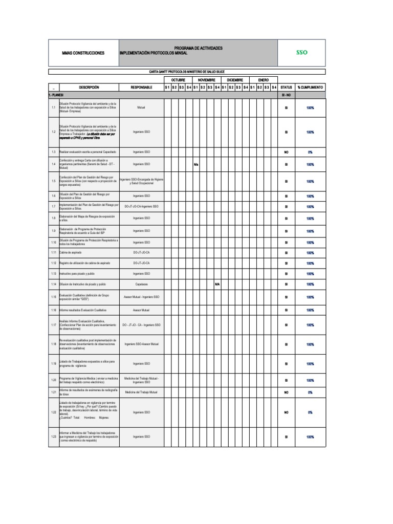 Carta Gantt Protocolos MINSAL | PDF | Seguridad y salud ocupacional | Politica de salud