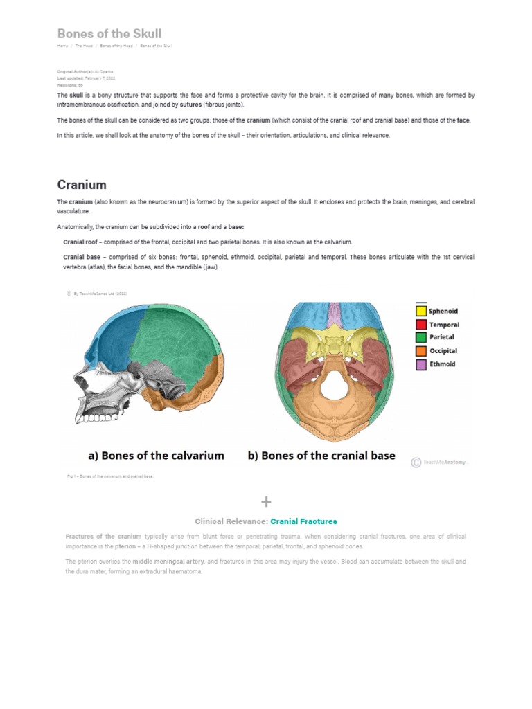 Bones Of The Skull Structure Fractures Teachmeanatomy Pdf