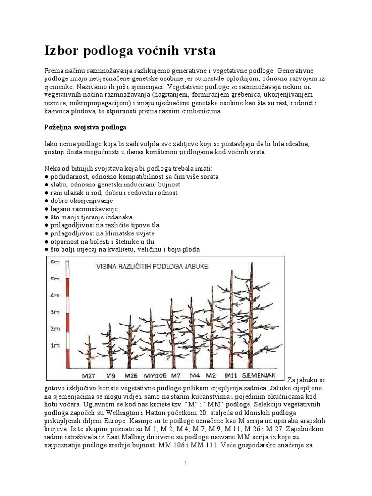 Izbor Podloga Voćnih Vrsta | PDF