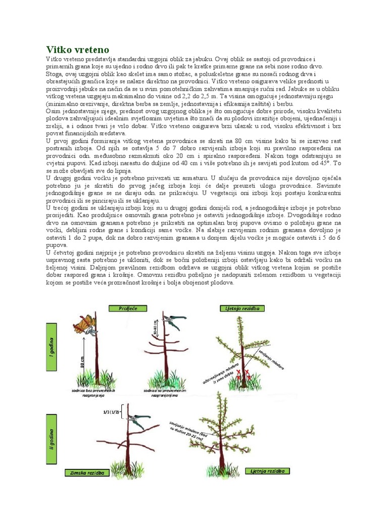 Vitko Vreteno | PDF