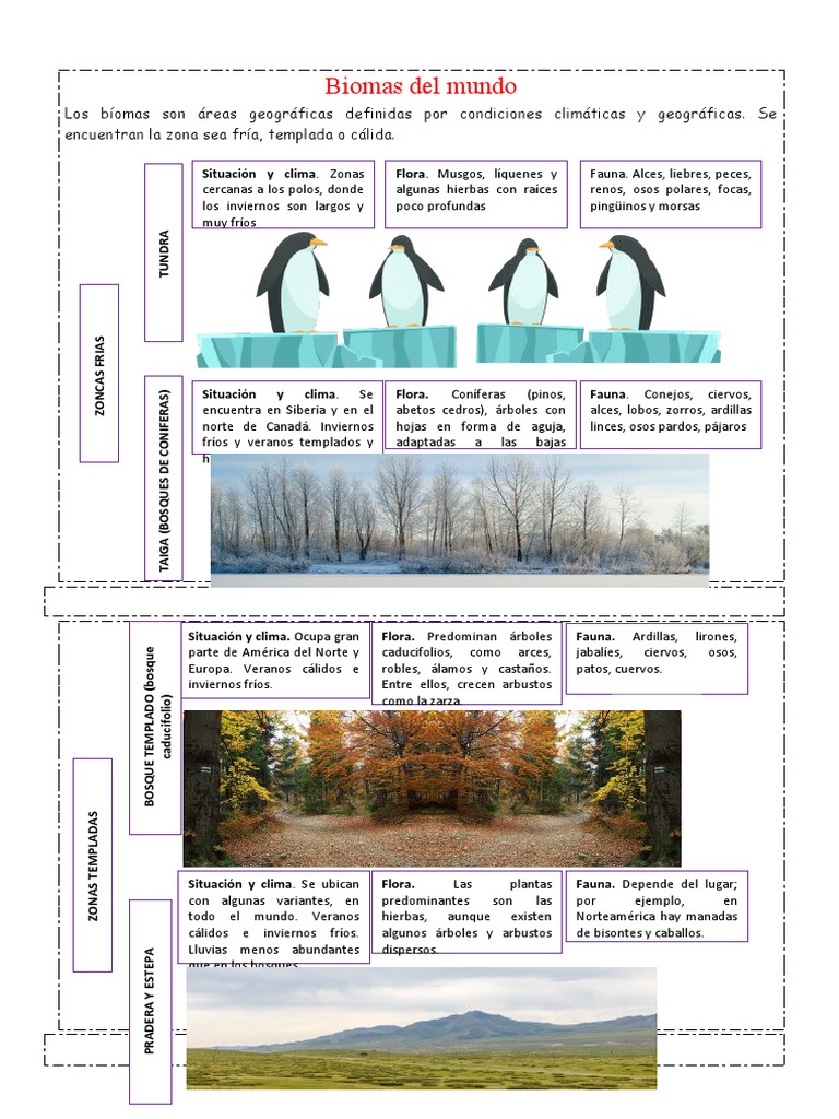 Biomas Del Mundo | PDF | Biogeografia | Entorno natural