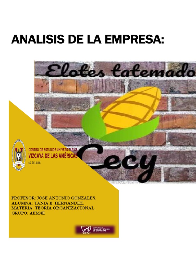 Mejora y Expansión de Elotes Cecy | PDF | Business | Economias