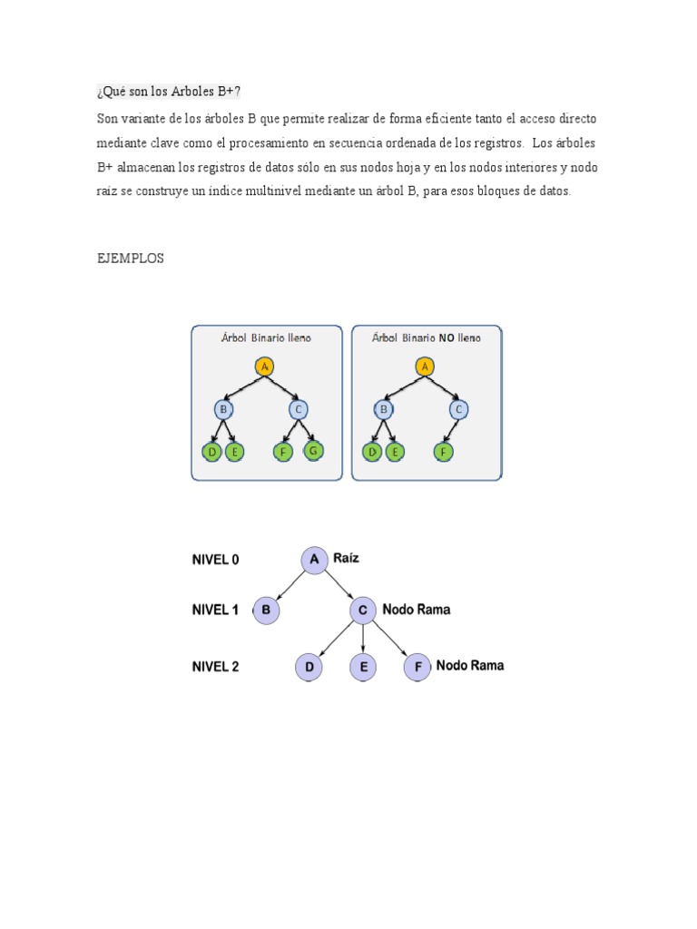 Arbol B+ | PDF | Tecnología