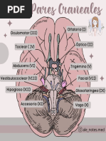 Códigos FONASA 2022 | PDF | Medicina de rehabilitación | Terapia