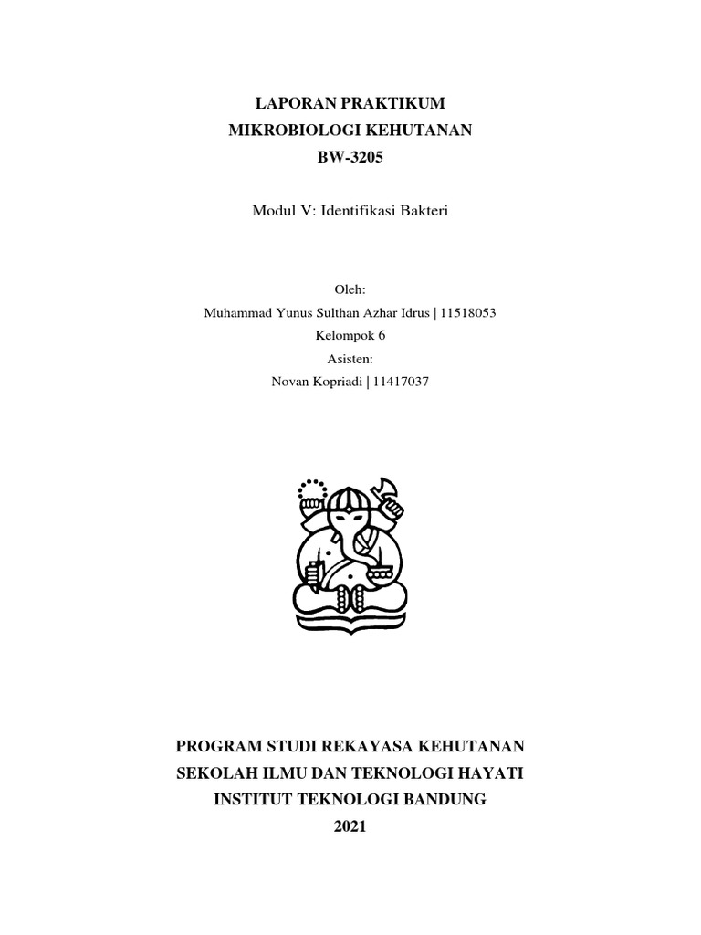 Laporan Praktikum Identifikasi Bakteri M | PDF