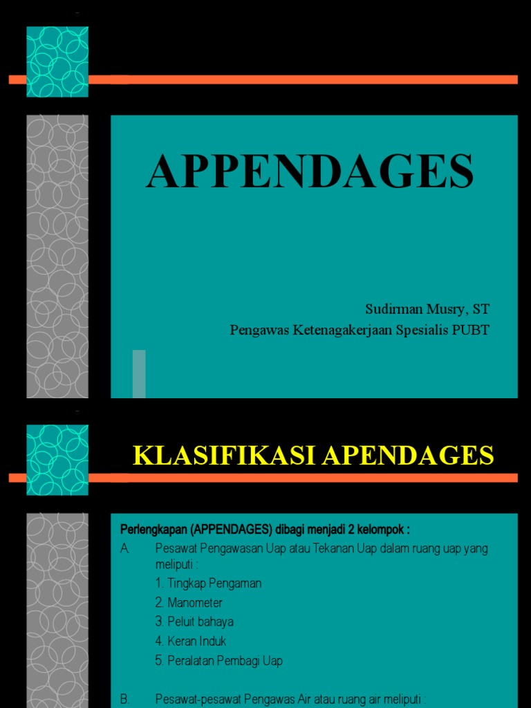 Appendages 1 | PDF