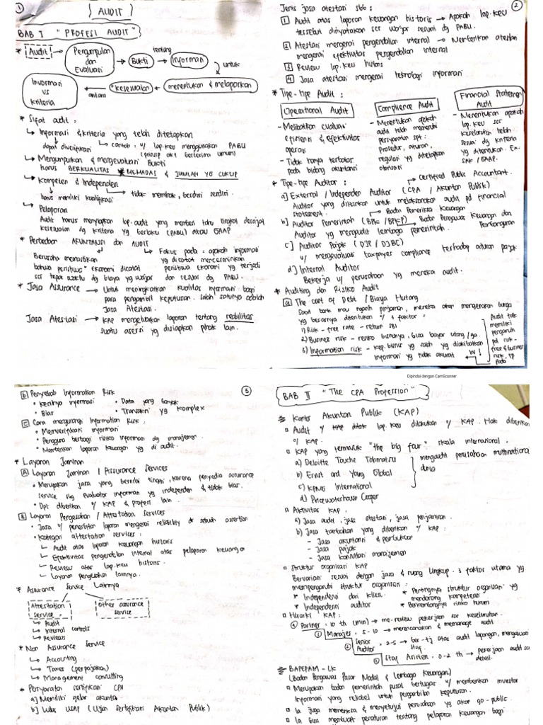 Summary - Audit Internal | PDF