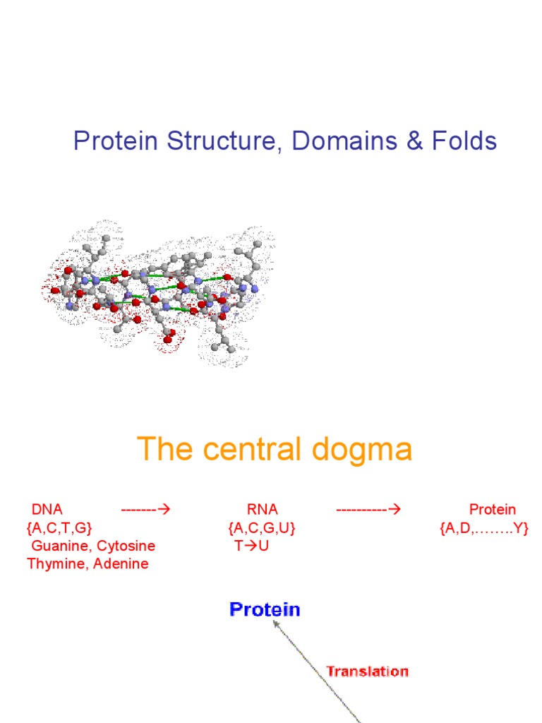 Protein Folds and Structure | PDF | Protein Folding | Protein Structure