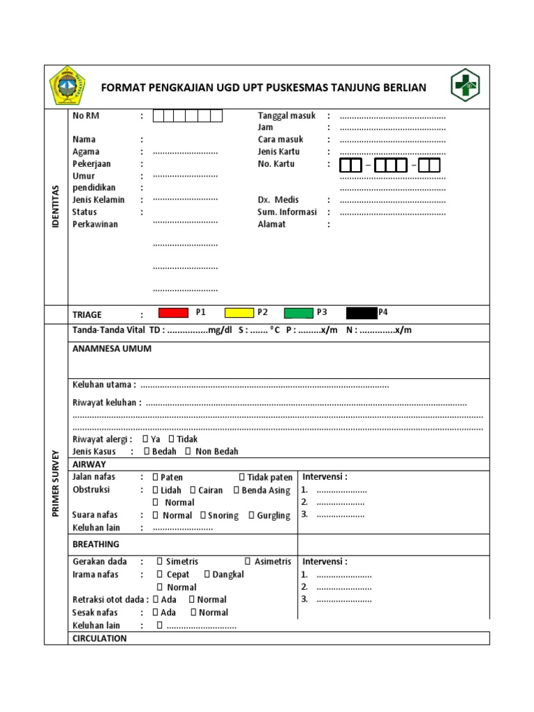 Format Pengkajian Ugd Upt Puskesmas Tanjung Berlian New | PDF