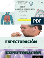 Tipos y características de la expectoración | PDF | Tos | Enfermedades ...