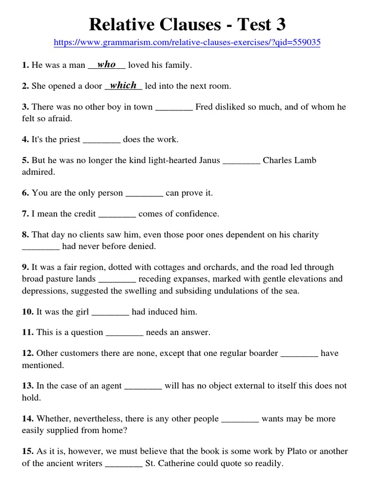 Relative Clauses - Test 3: Who Which | PDF