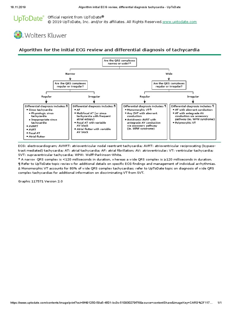 Algorithm Initial ECG Review, Differential Diagnosis Tachycardia | PDF ...