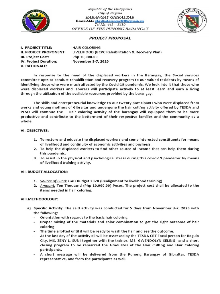 Project Proposal HAIR COLORING | PDF | Economies