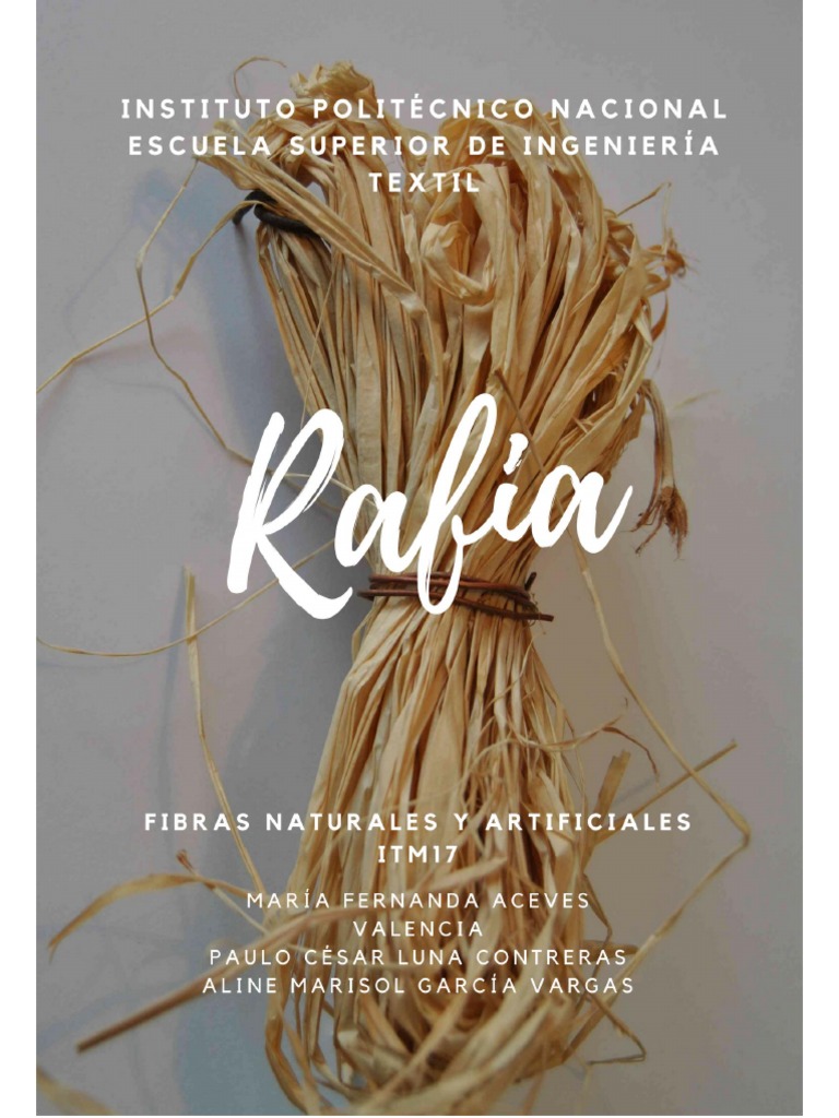Análisis de la Fibra de Rafia | PDF