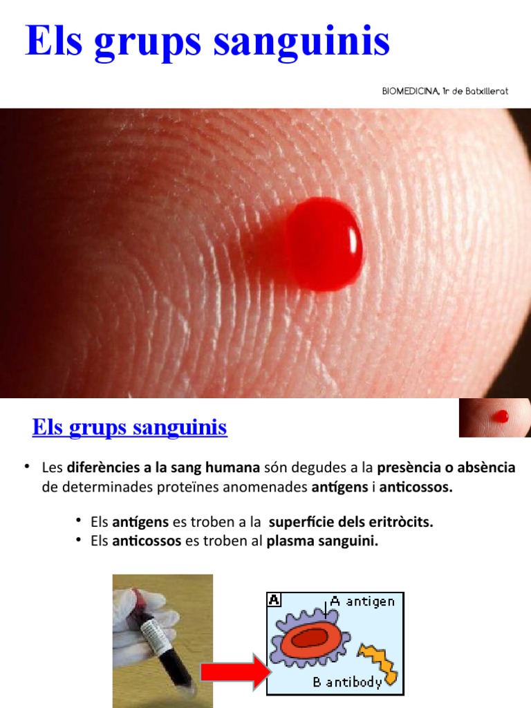 Els Grups Sanguinis | PDF