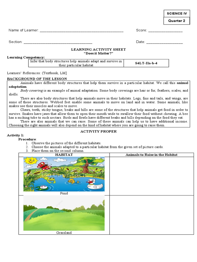 Animal Adaptation Activity Sheet | PDF | Mouth | Organisms