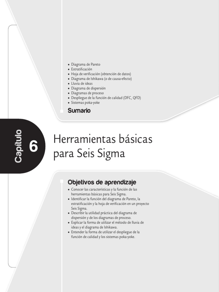 Seis Sigma Lectura Libro | PDF | Six Sigma | Estratificación social