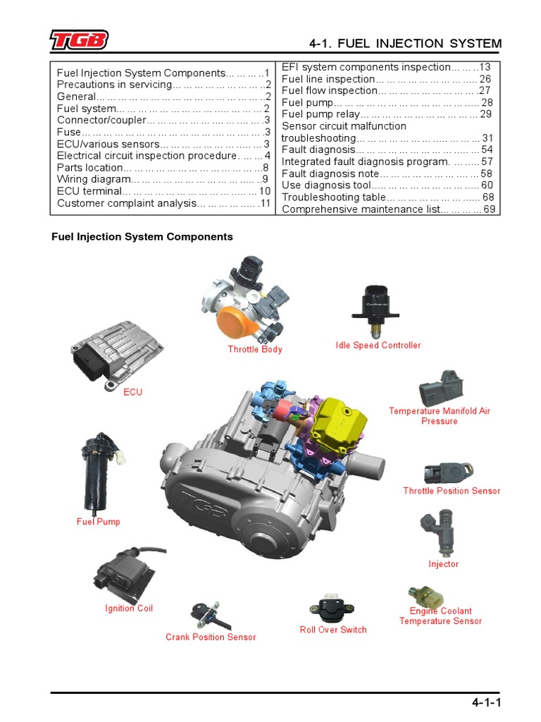 EFI Fuel System | PDF | Throttle | Ignition System