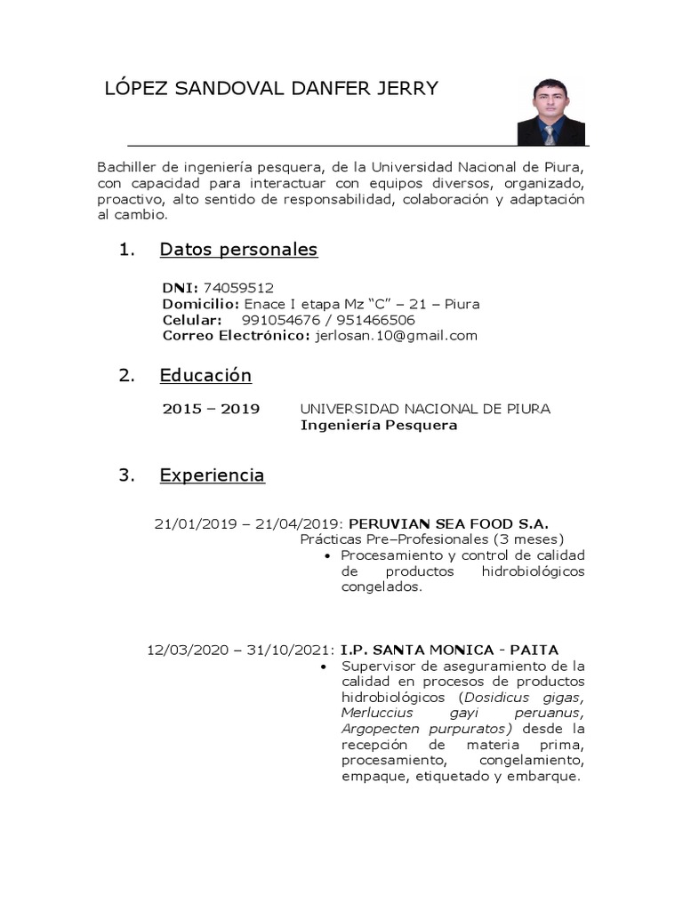 CV Jerry | PDF | Análisis de Riesgo y Puntos Críticos de Control | Producción y fabricación