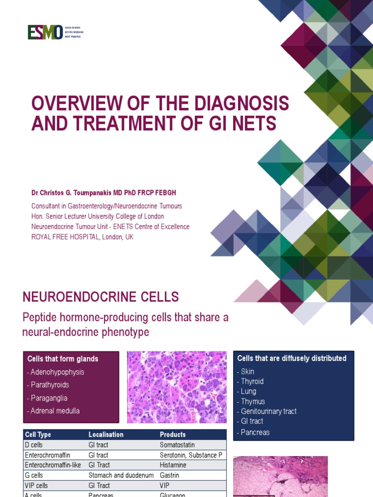 Overview Diagnosis and Treatment of GI NETS | PDF | Positron Emission ...