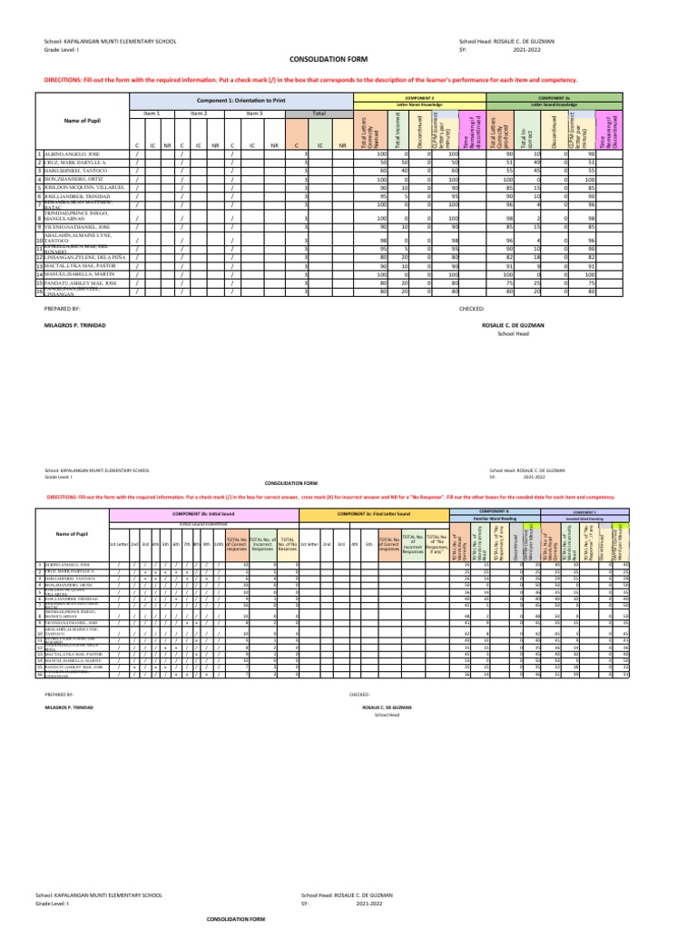 EGRA Consolidation Form Grade I - English | PDF | Cognitive Science | Cognition