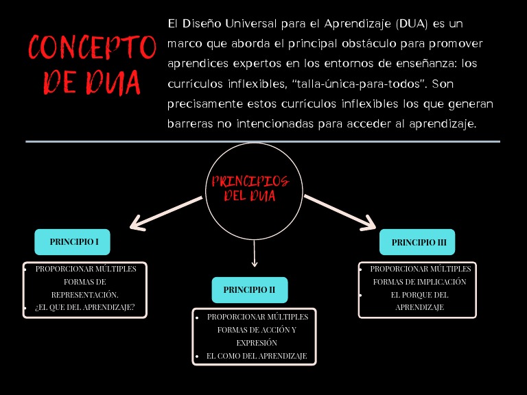 Mapa Conceptual Dua y Principios | PDF