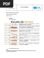 Tipos y características de las heces | PDF | Heces | Especialidades Medicas