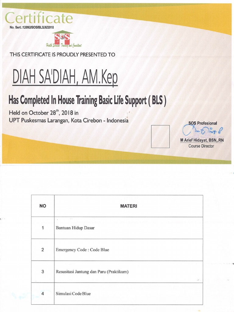 Training Basic Life Support BLS | PDF