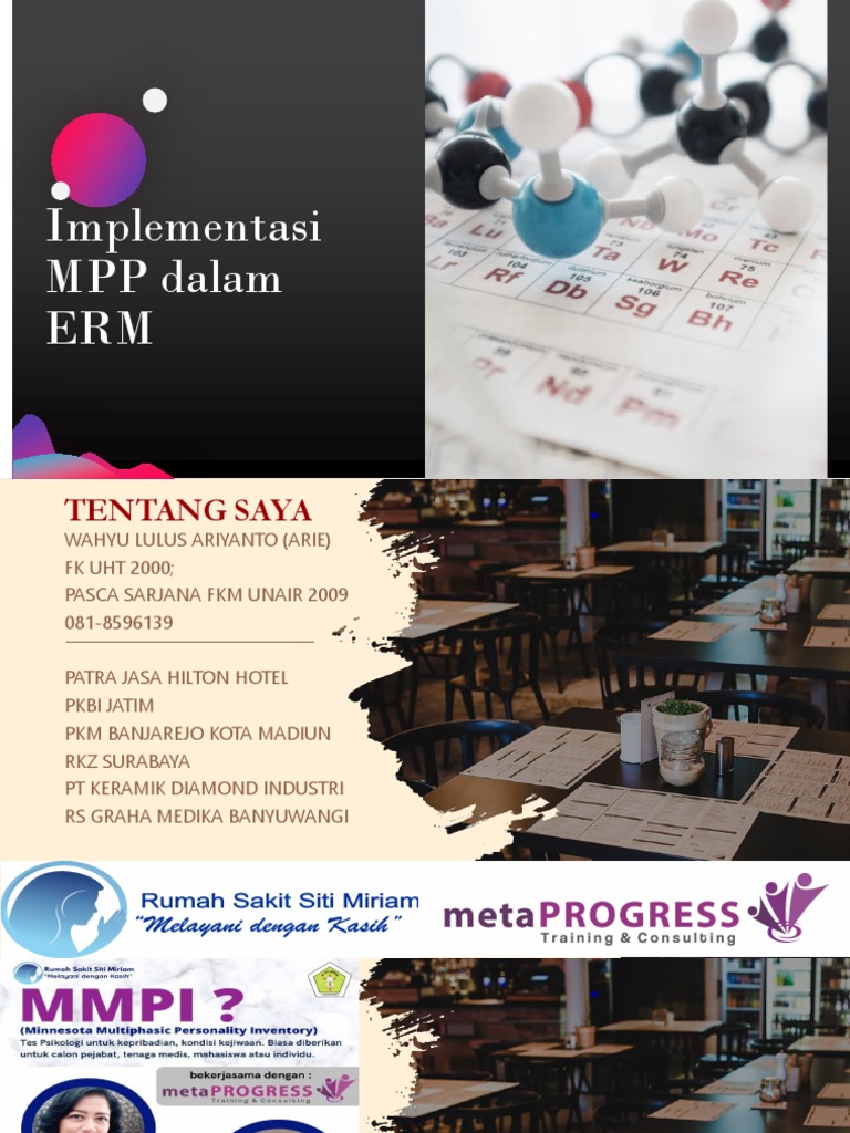 Implementasi MPP Dalam ERM | PDF
