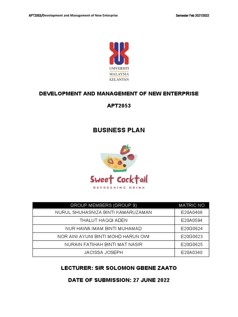 Business Plan Group 9 | PDF | Marketing | Search Engine Marketing