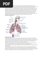 NCP Headache | PDF | Pain Management | Pain
