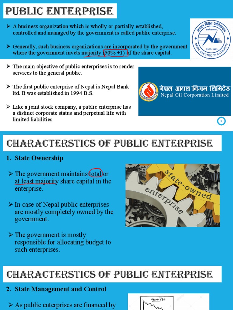 Public Enterprise | Download Free PDF | State Owned Enterprise | Business