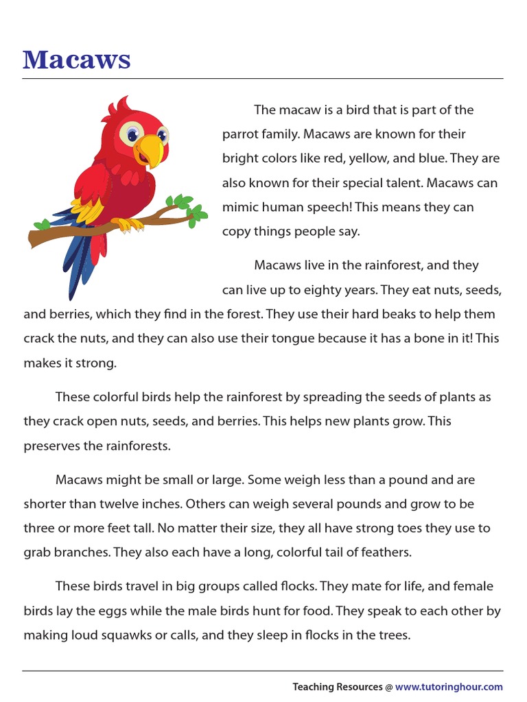 Macaws: Teaching Resources @ | Download Free PDF | Birds | Parrot