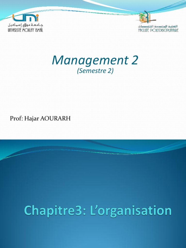 Comprendre les Structures Organisationnelles | PDF | Business