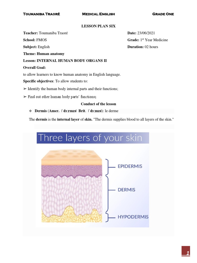 LESSON SIX Human Anatomy II | PDF | Skin | Human Body